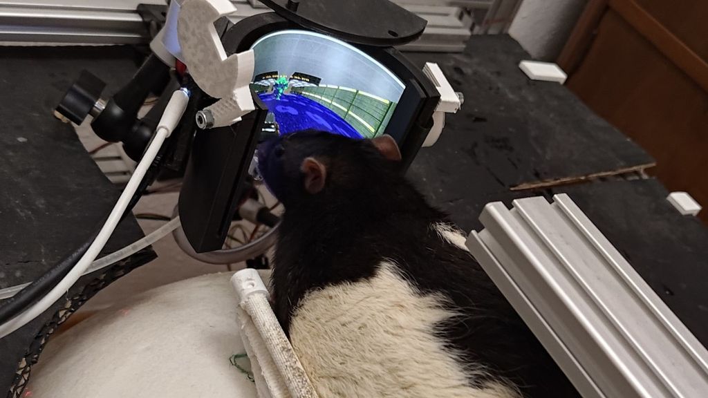 The Doom-playing rats are back, and now they've learned how to shoot ...