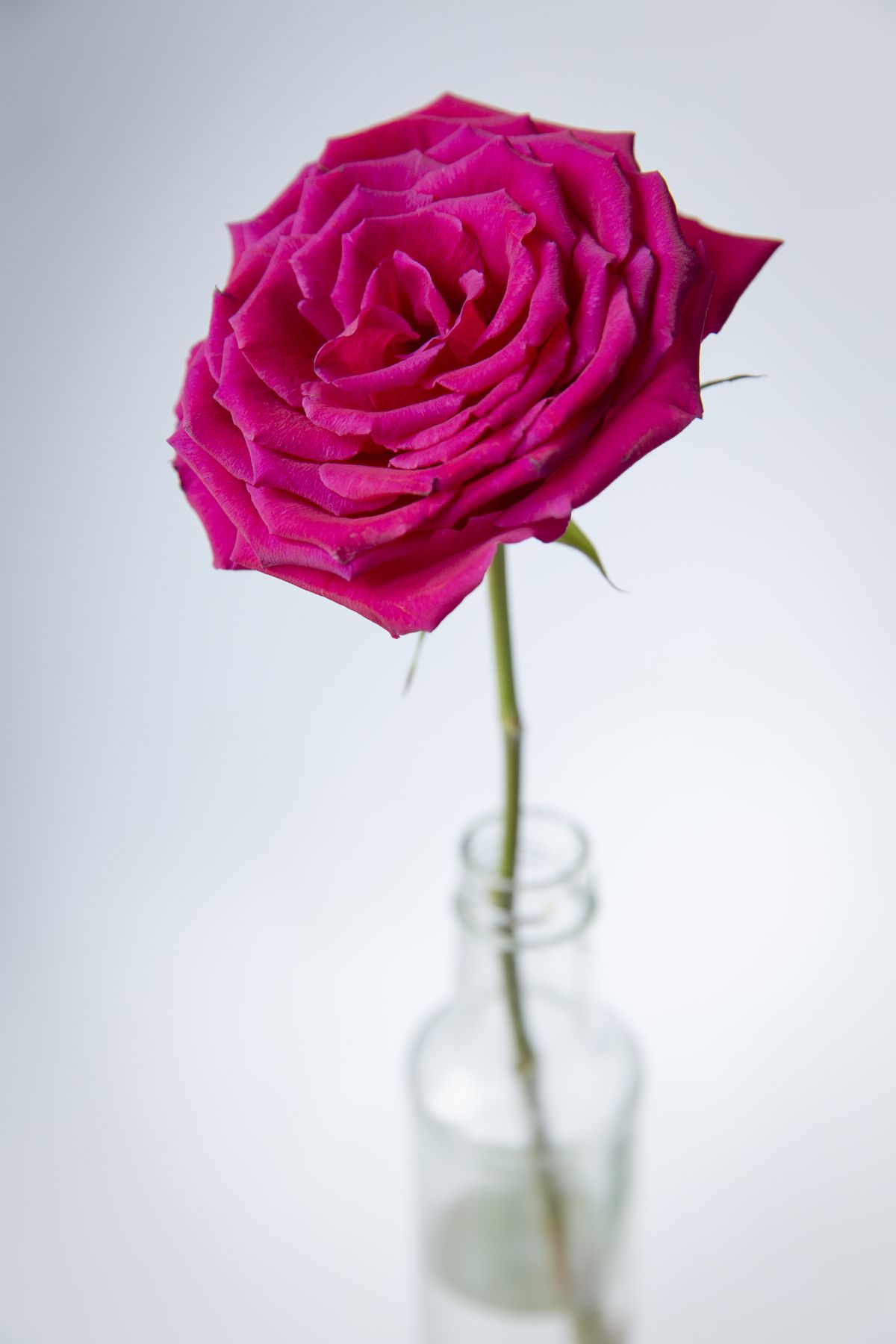 RGB histogram pro tips | Digital Camera World