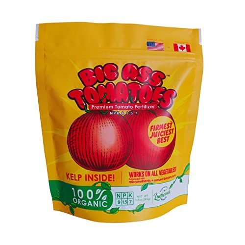 How to grow bigger tomatoes: expert tips for big fruits | Homes and Gardens