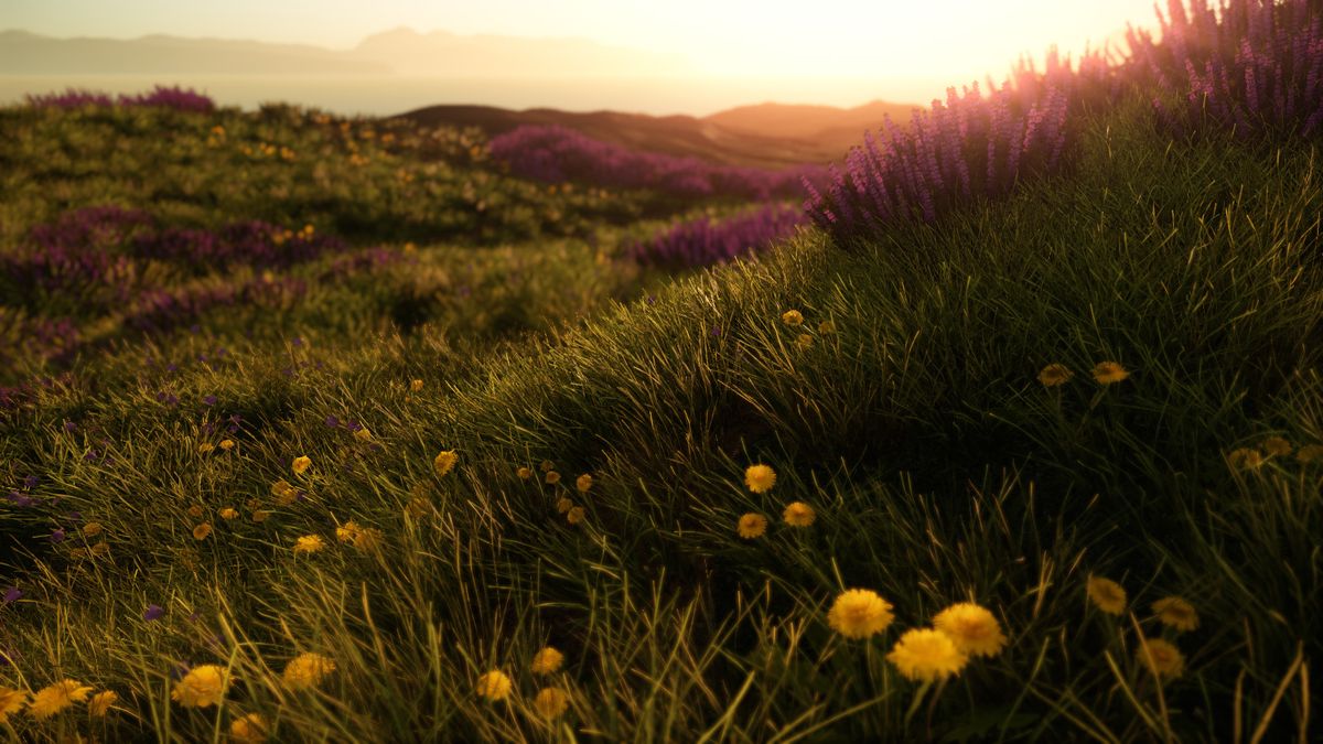 First footage of 'Project X', the game with a 400-player battle royale ...