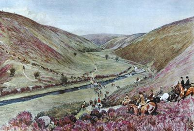 Celebrating Exmoor | Country Life