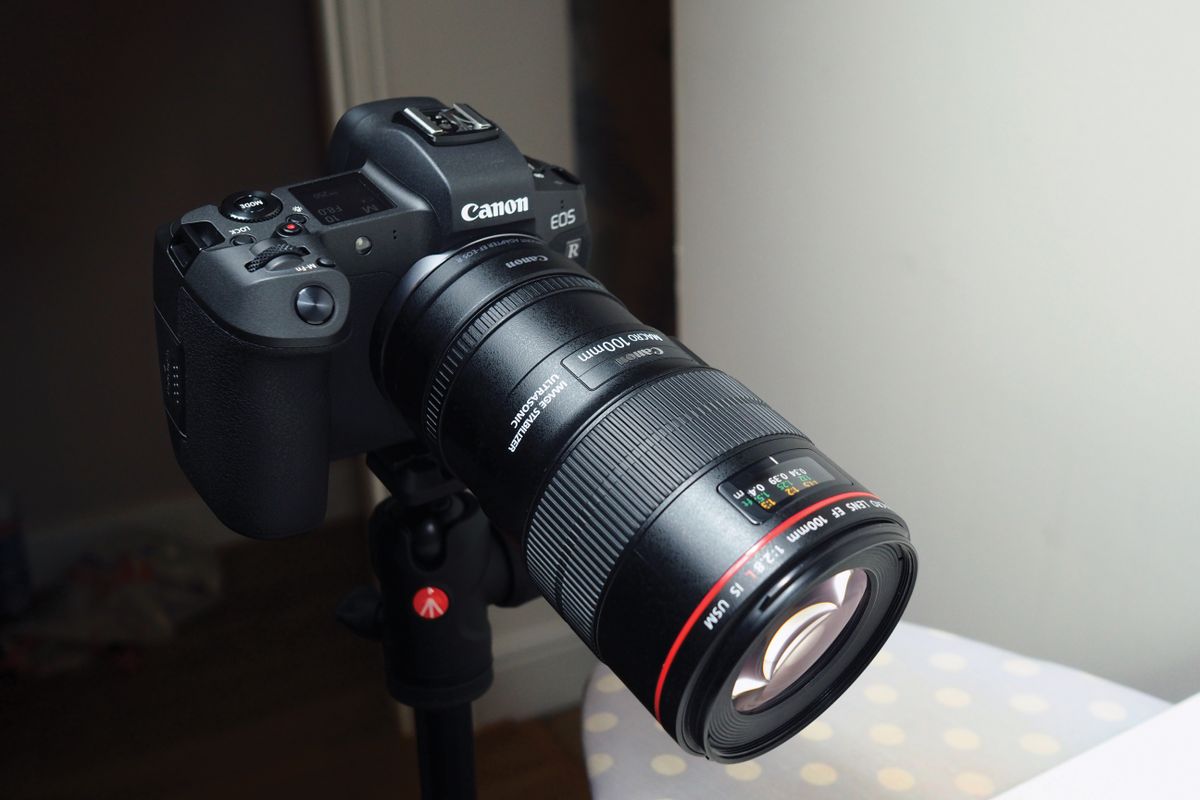What's in my bag: pro wildlife photographer Katie Mayhew | Digital ...