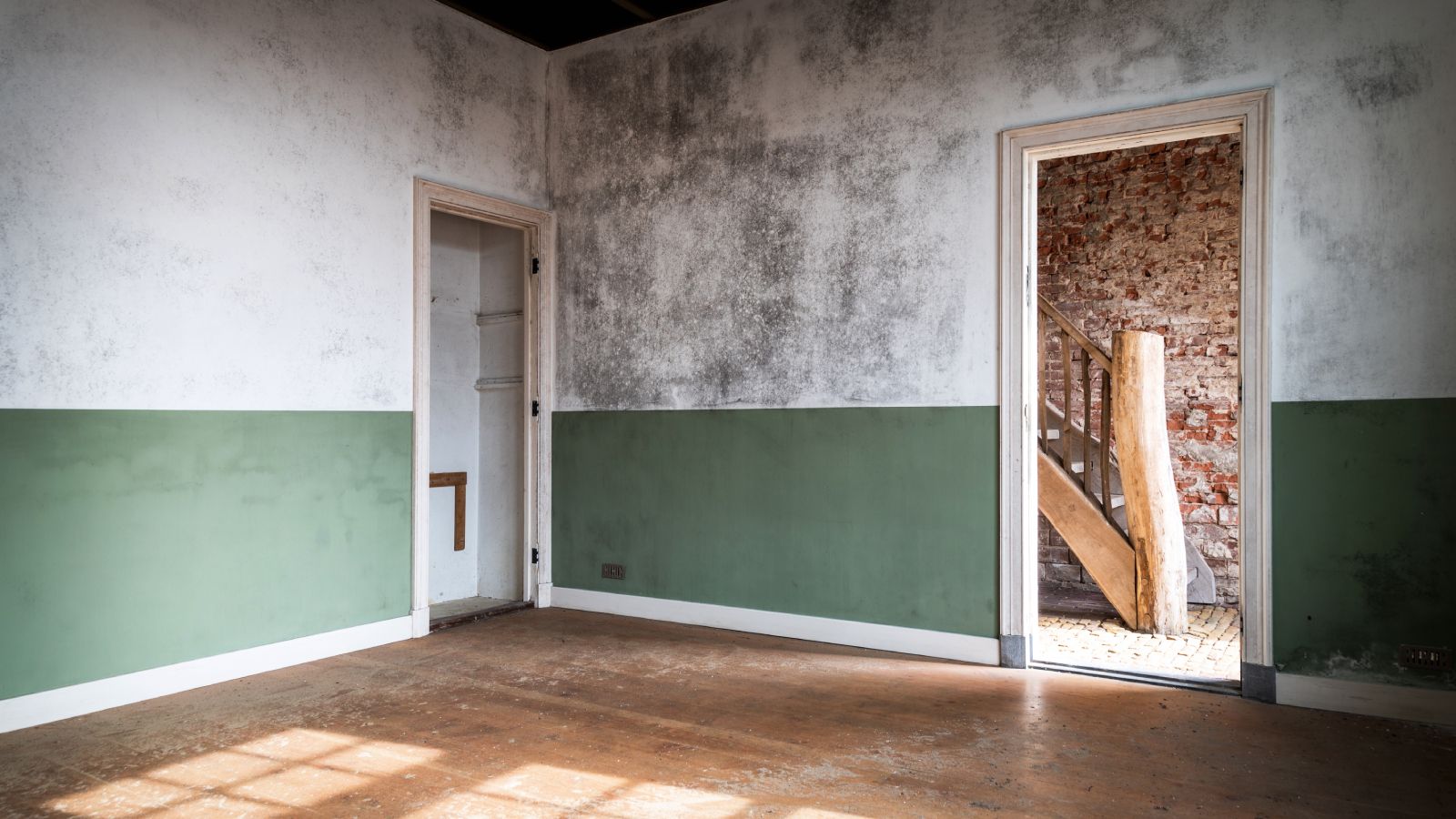 How to treat damp in older houses and keep it away for good | Homebuilding