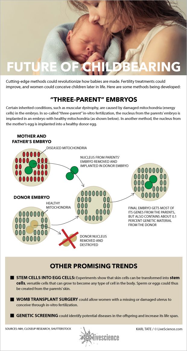 Future of Fertility Treatment: 7 Ways Baby-Making Could Change | Live ...