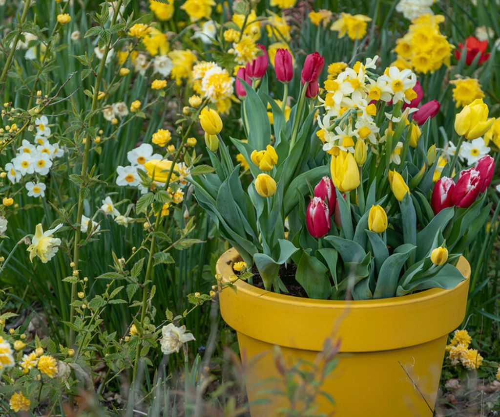 Spring planter ideas: 7 ways to add instant seasonal color | Homes and ...