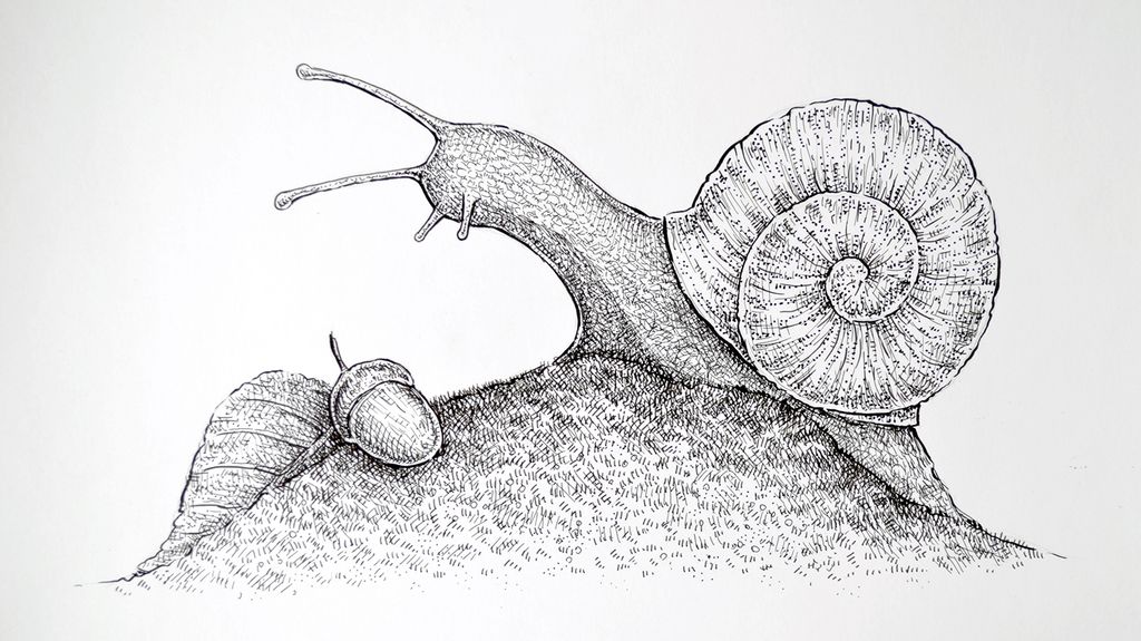 Create organic textures in ink | Creative Bloq