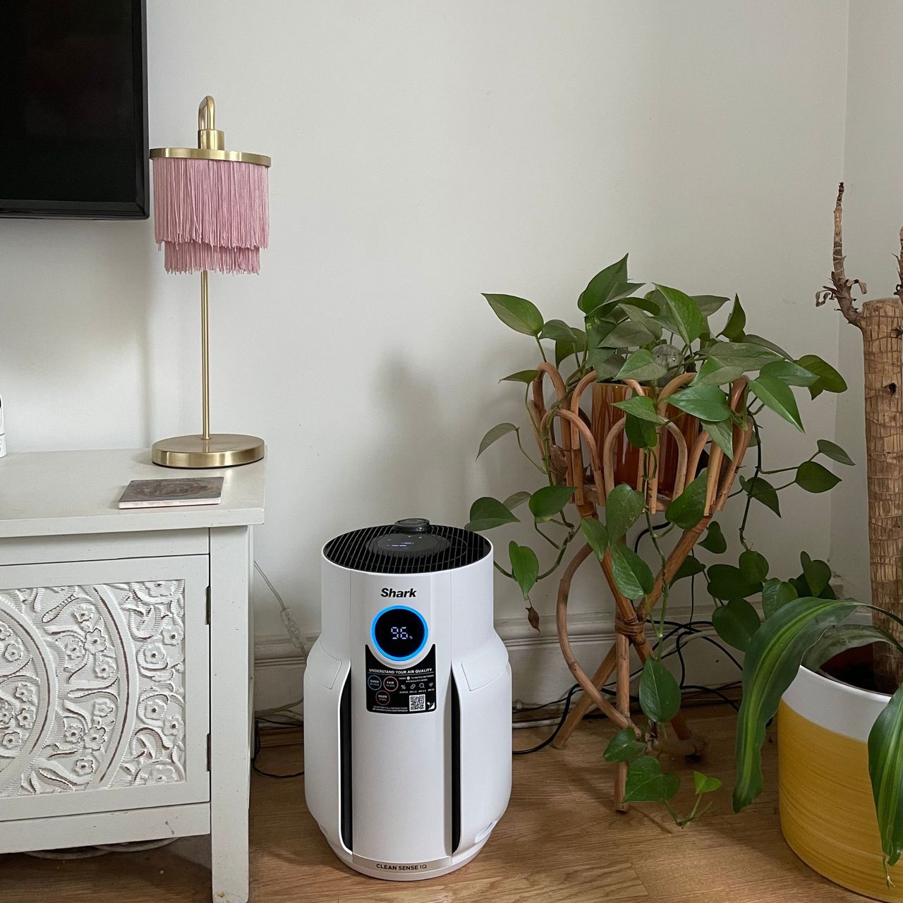 Do air purifiers work with the windows open? | Ideal Home