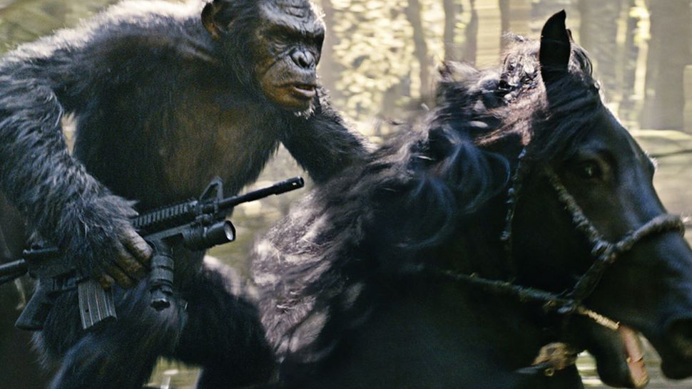 Caesar's Planet Of The Apes Timeline Explained | Cinemablend