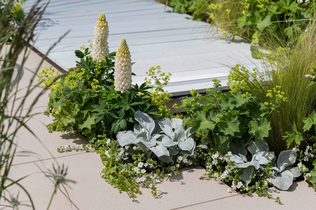 Flower bed ideas: 24 ways to create floral displays outdoors | Gardeningetc