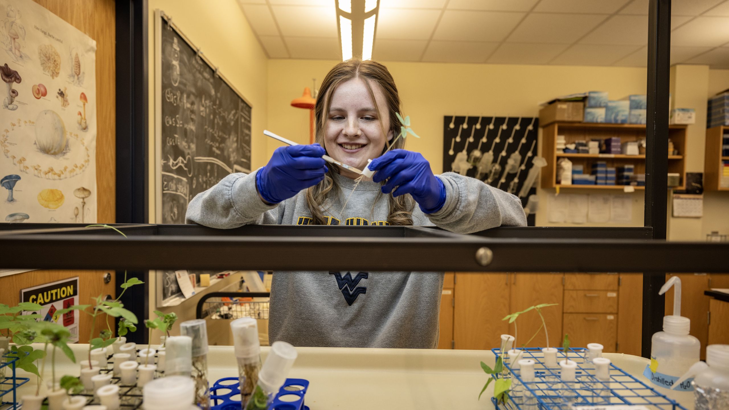 College student discovers psychedelic fungus that eluded LSD inventor ...