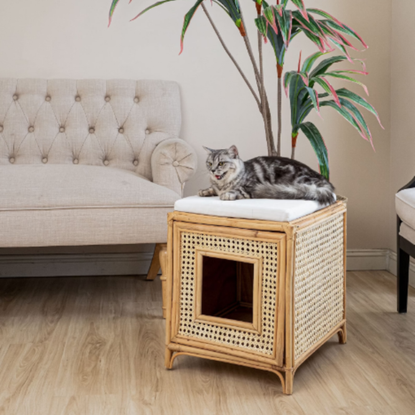 9 interior buys for your pet that are as cute as they are | Real Homes