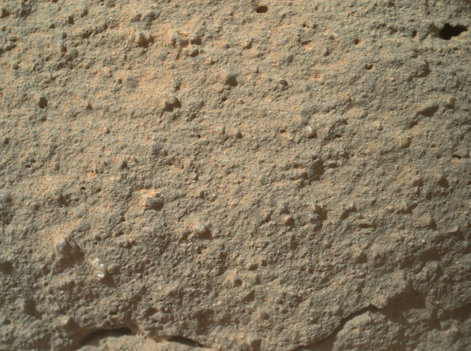 Curiosity Rover Finds 'Flower' and Snake-Like Rock on Mars | Space