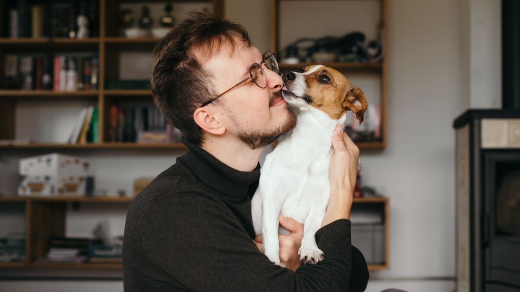 What is Capnocytophaga? How an innocent dog lick can trigger a fatal ...
