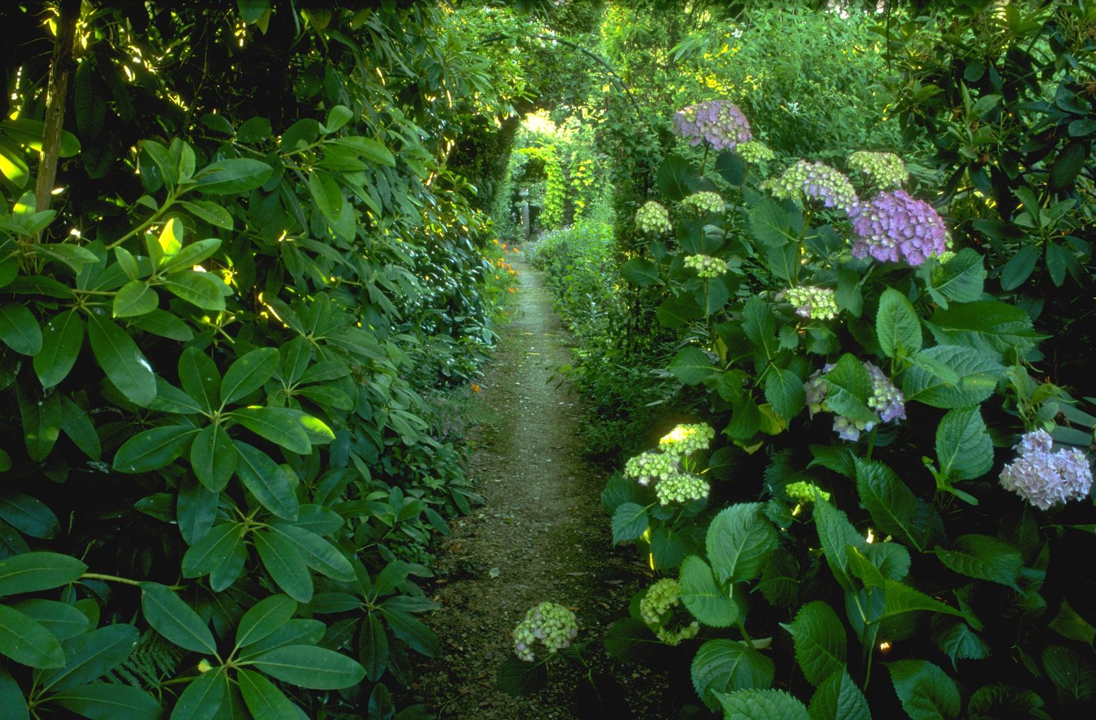 Cottage garden path ideas: 13 beautiful ways to make journeying through ...