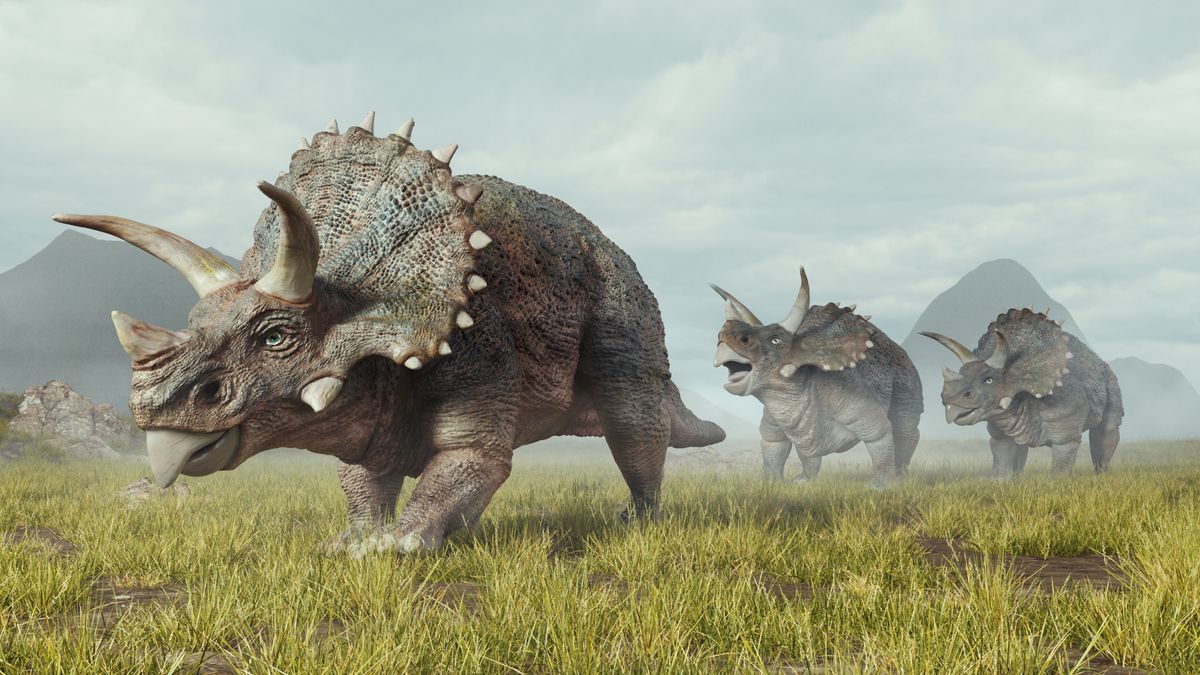 Triceratops: Facts about the three-horned dinosaur | Live Science
