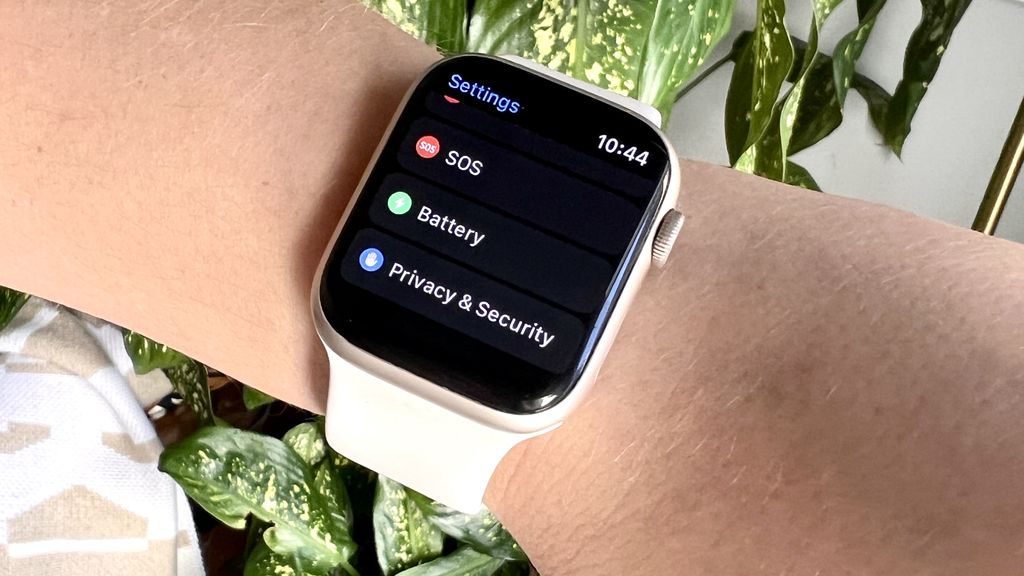 This is the Apple Watch setting you should enable to make it last all ...