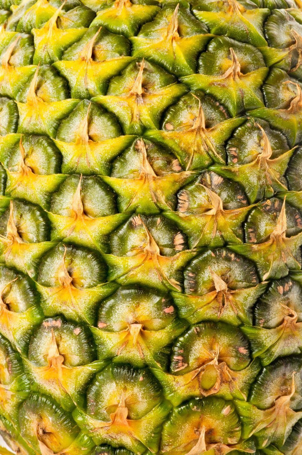 How pineapple mania gripped Britain | Country Life