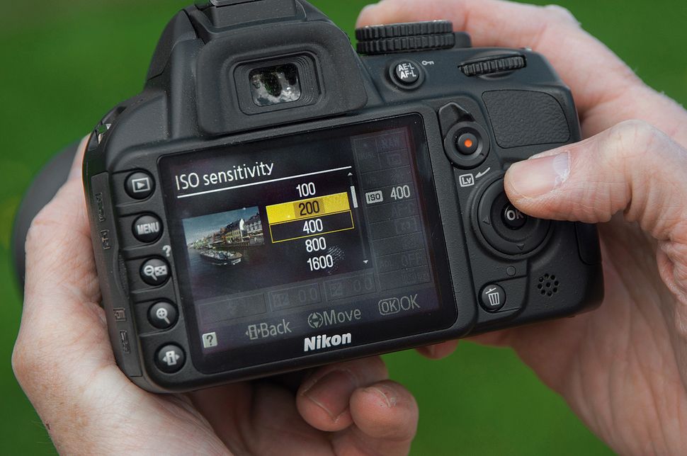 Zoo photography tips: how to get great pictures of animals | Digital ...