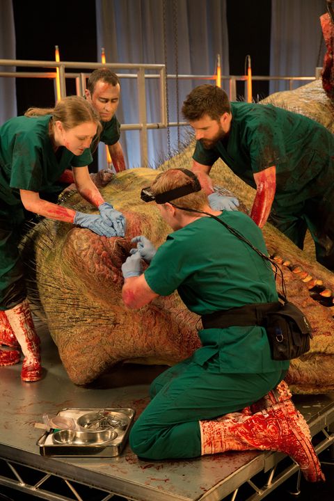 Gory Guts: Photos of a T. Rex Autopsy | Live Science