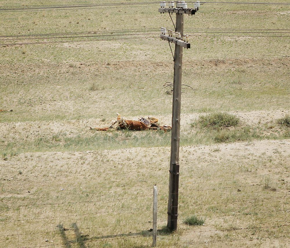 The languid beauty of a 126-hour train trip | The Week