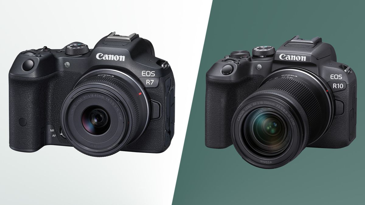 Canon EOS R7 vs Canon EOS R10: which mirrorless camera should you buy ...