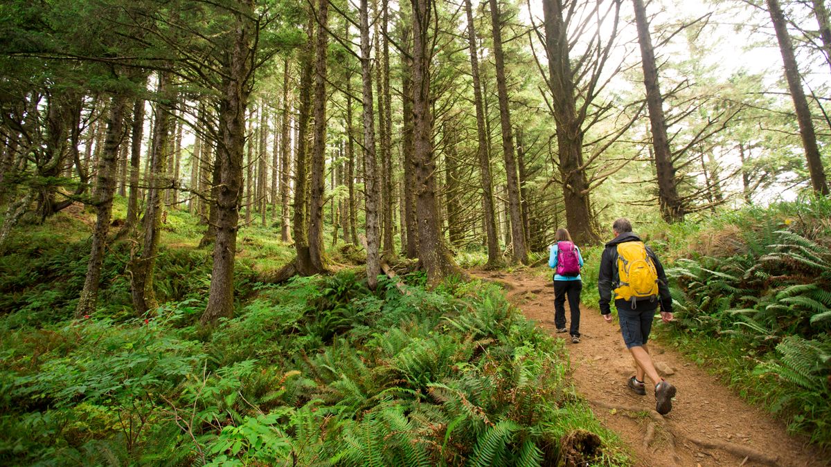Types of hiking trails: from loops and lollipops to feeders and fire ...
