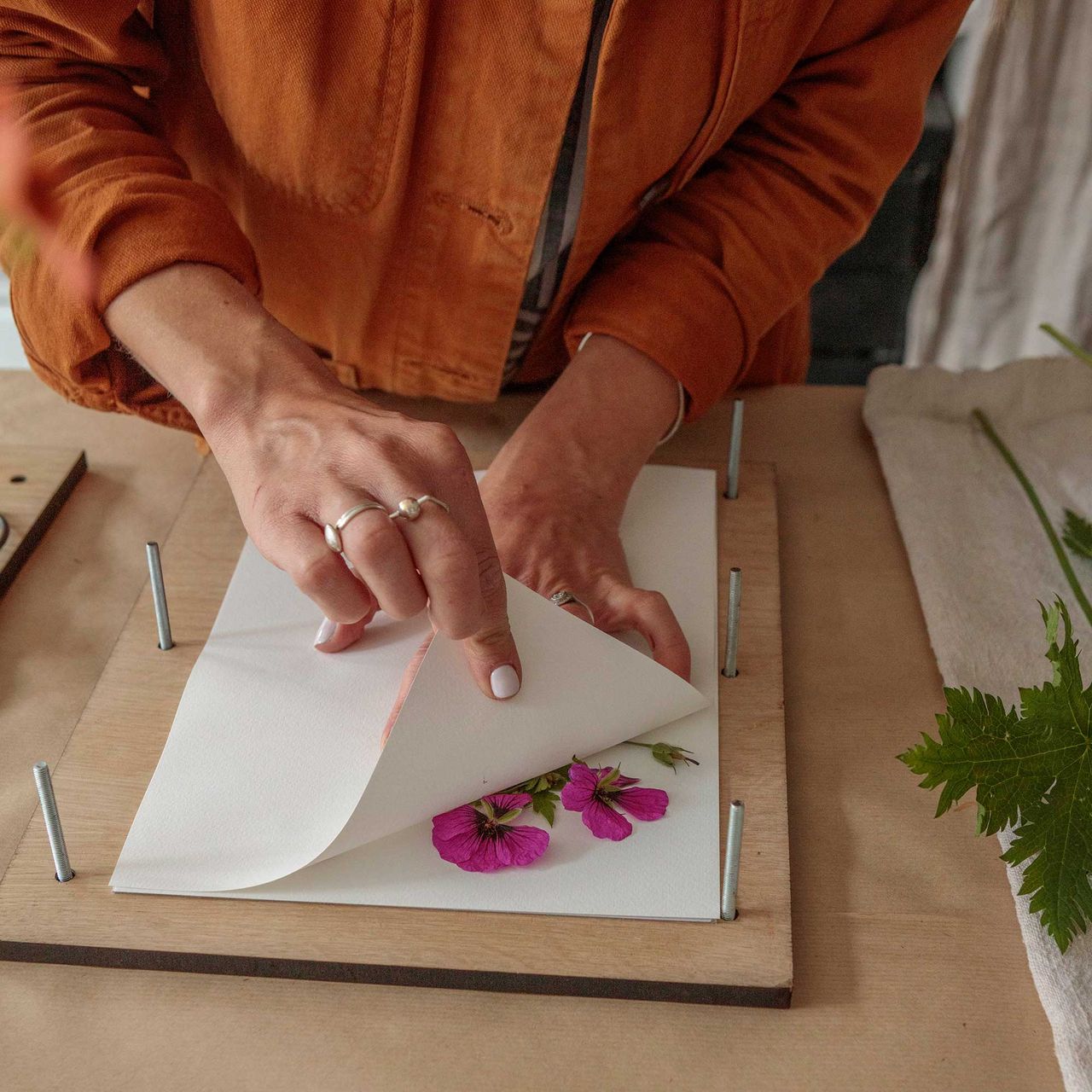 How to press flowers: for pretty homemade decorations | Ideal Home