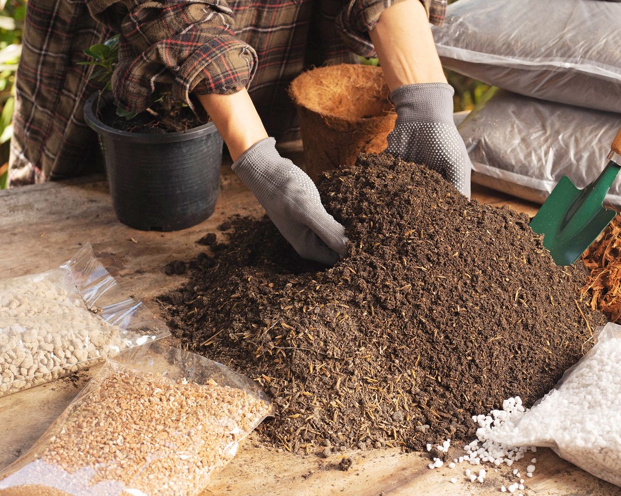 Best Soil For Tomatoes: Create A Perfect Mix & Boost Yields | Gardening ...