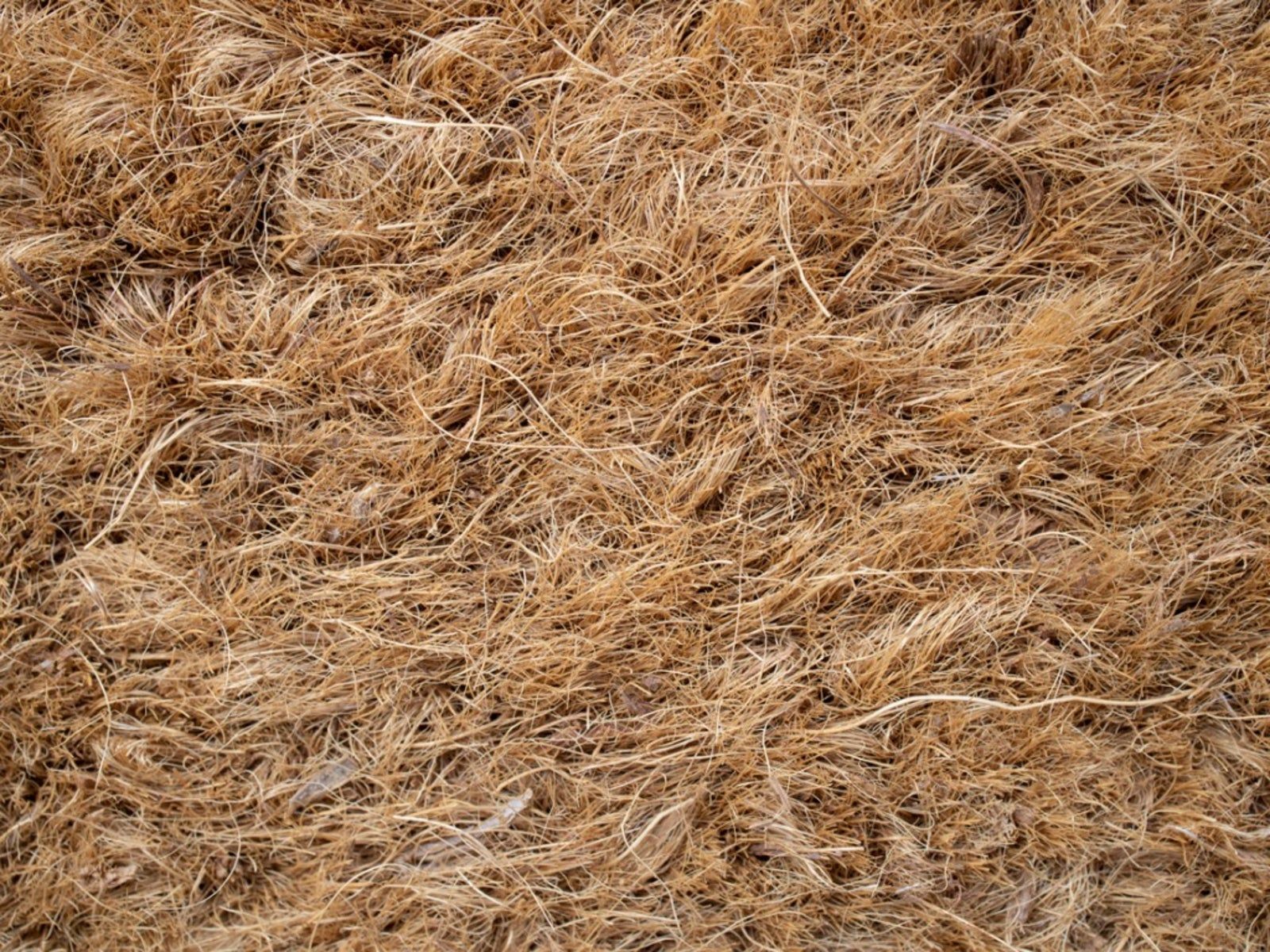Coconut Coir Mulch Benefits - Suggestions For Coir Mulch Uses In The ...