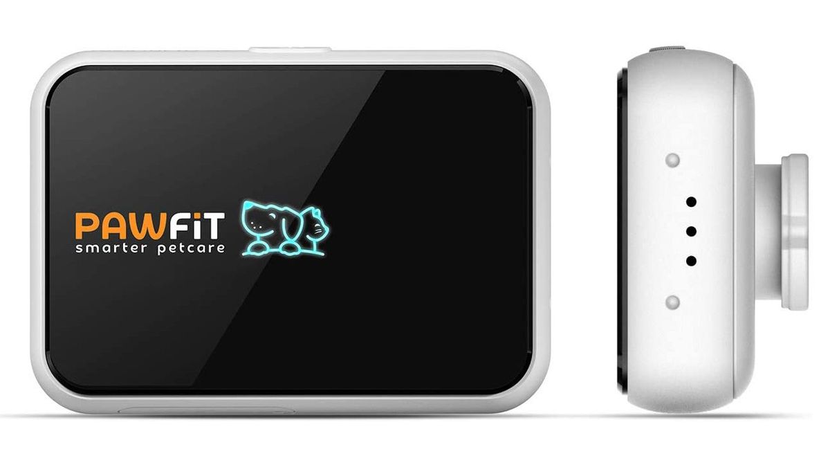 Best pet trackers 2024 for location and activity tracking | PetsRadar