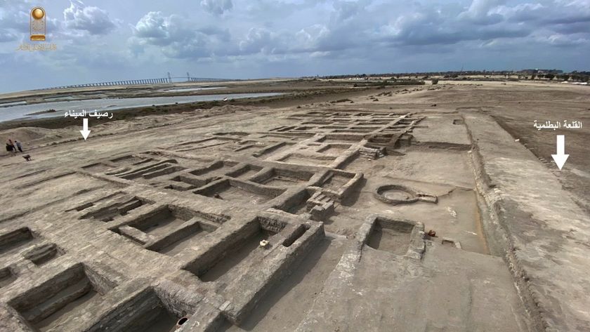 When did Earth's first forests emerge? | Live Science