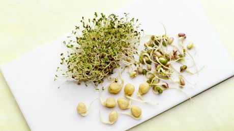 The Easiest Nutritional Hack Ever: Sprouting | Coach