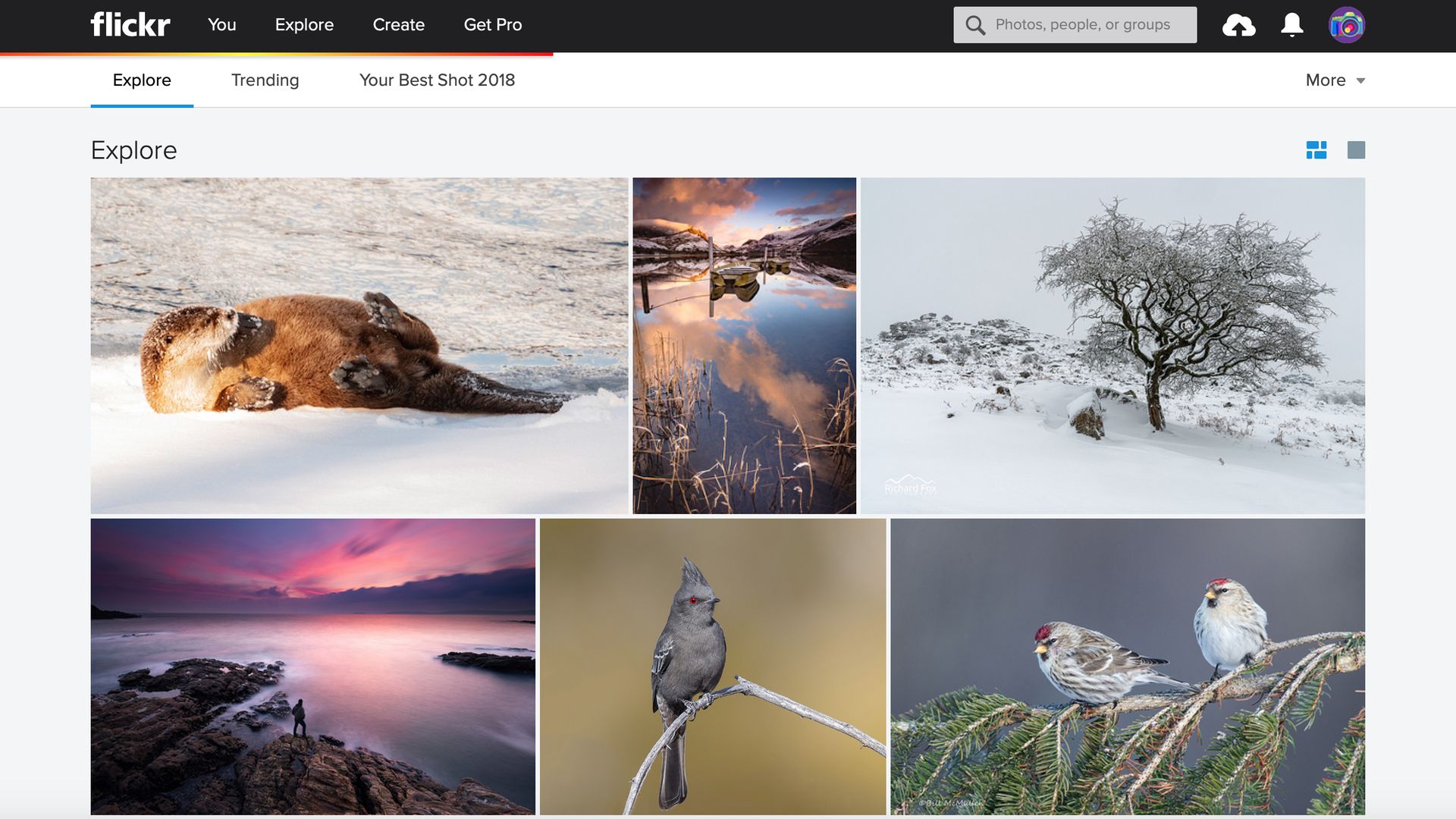Flickr set to delete images from free accounts today | TechRadar