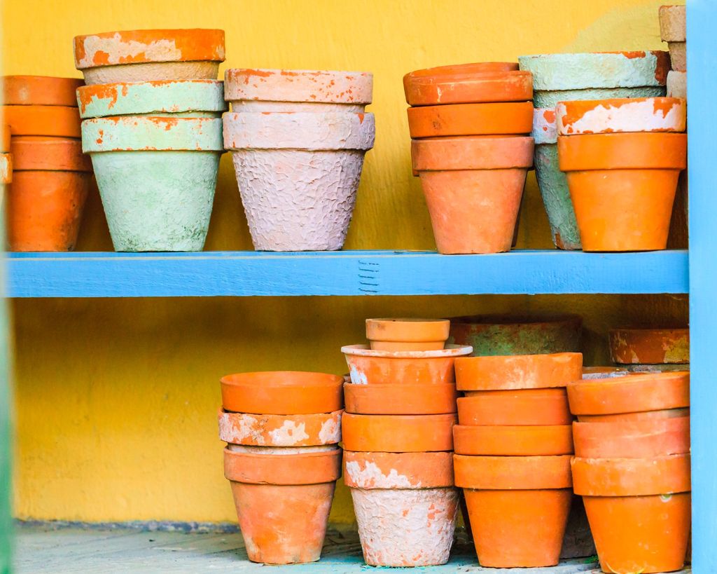 Should I clean my garden pots? Expert tips for healthy plants | Homes ...