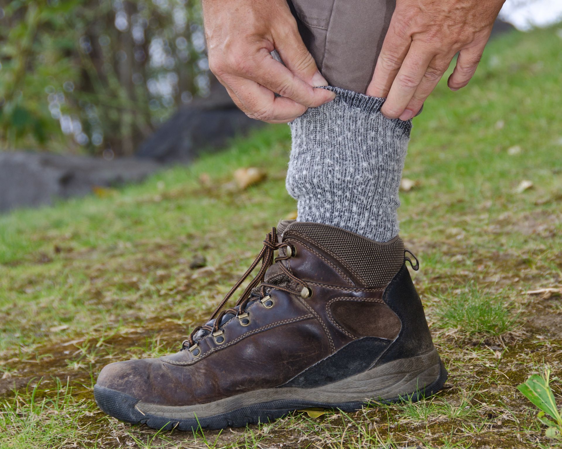 How To Keep Ticks Away: 3 Tips To Stay Safe In Your Garden | Gardening ...