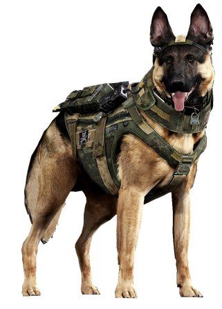 Black Ops 3 finally lets girls play the hero in COD and it's about time ...