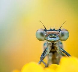 10 beautiful examples of nature photography | Creative Bloq