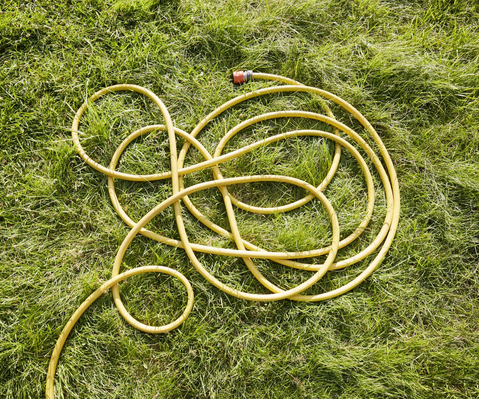 How to store a garden hose – the best methods from experts | Homes and ...