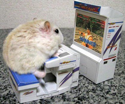 9 awesome animals playing video games: Page 2 - Page 2 | GamesRadar+