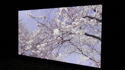 Hands on: Panasonic 145-inch 8K Super Hi Vision television review | TechRadar