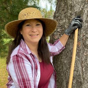 Complete Guide To Native Plants Of The Northeast | Gardening Know How