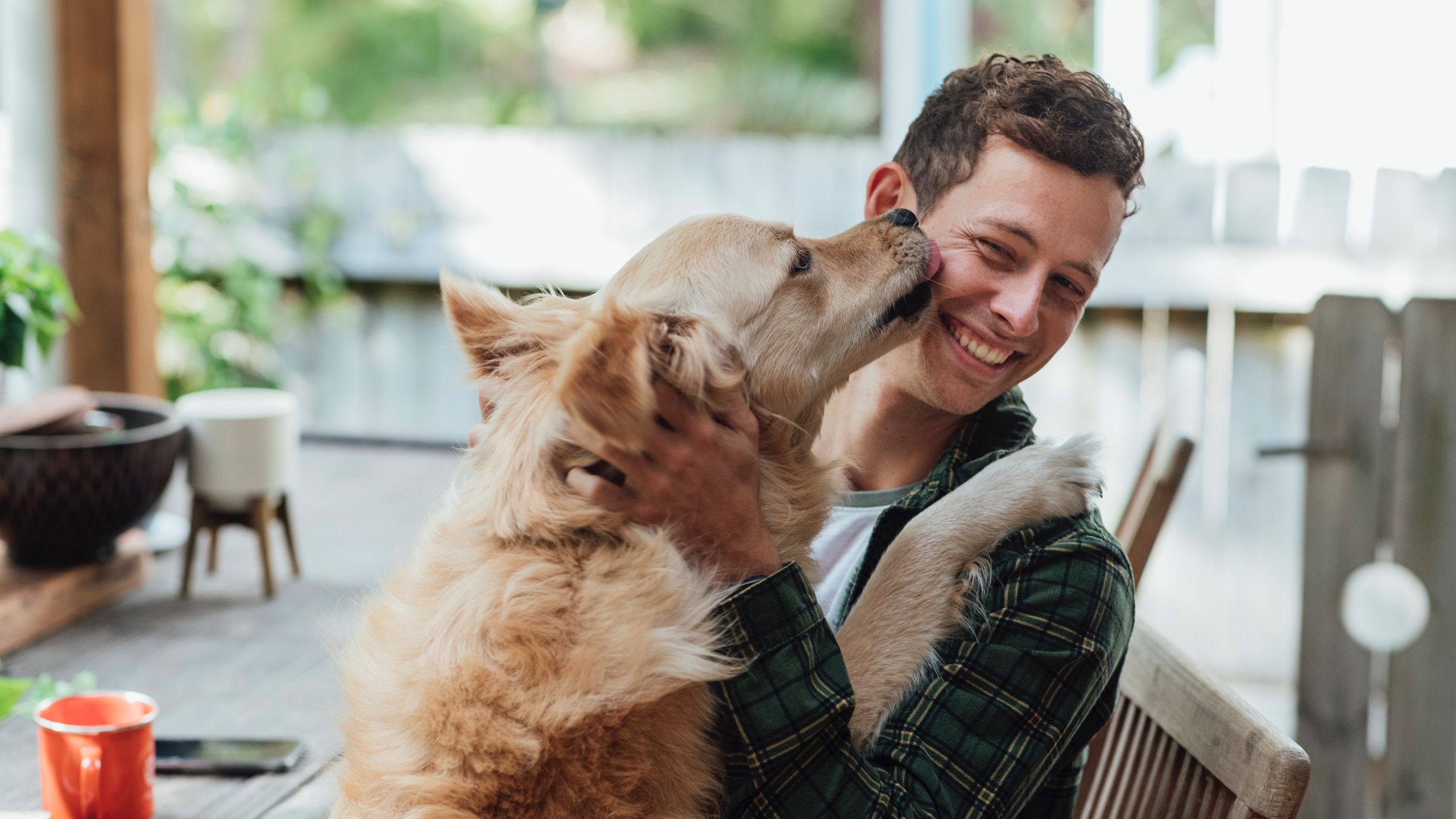 Trainer reveals how to help your dog feel calm before you leave for a ...