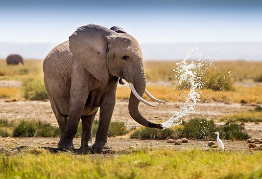 10 beautiful examples of nature photography | Creative Bloq