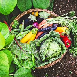 Tips & Information about Vegetables | Gardening Know How