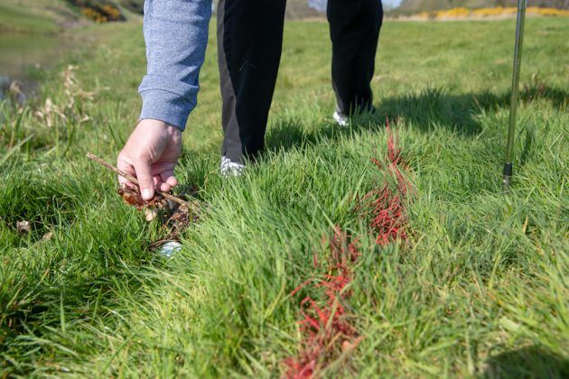 Red Stakes In Golf - Everything You Need To Know! | Golf Monthly