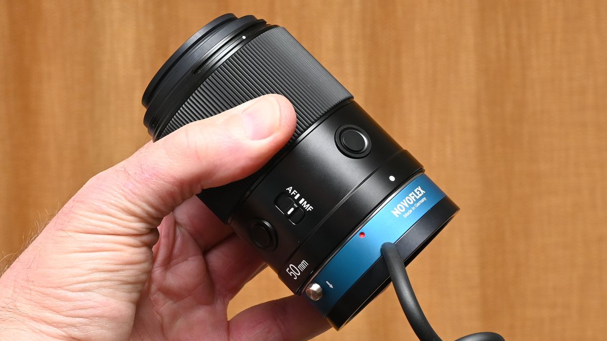 Novoflex Auto Bellows review: Powerful macro magnification with ...