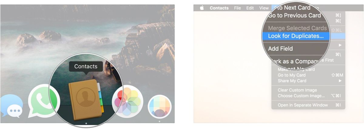 How to customize Contacts cards on your Mac | iMore
