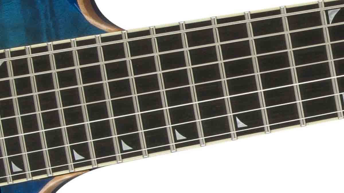 In pictures: an introduction to seven-string and eight-string guitars ...