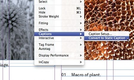 Using Live Captions in InDesign CS5 | Creative Bloq