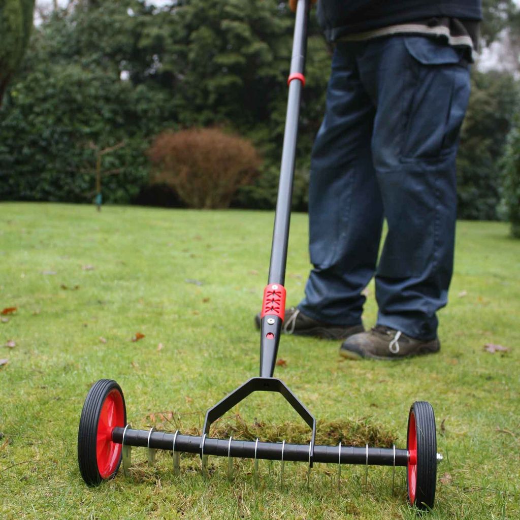 How to scarify a lawn: simple steps to give your grass a boost ...